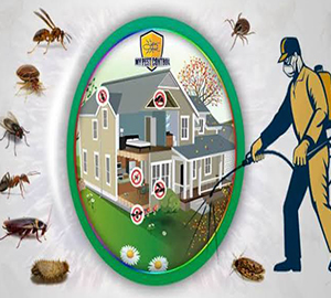 BioPestControl | Home
