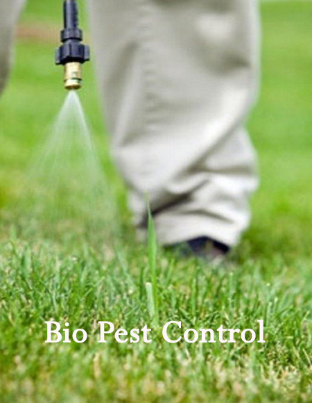 BioPestControl | Home
